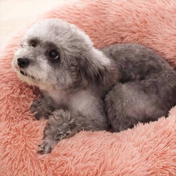 Hundeseng, hundehule og hundemadrass - I Love Dogs.no