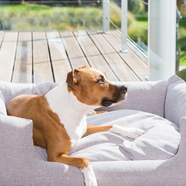 Hundeseng, hundehule og hundemadrass - I Love Dogs.no